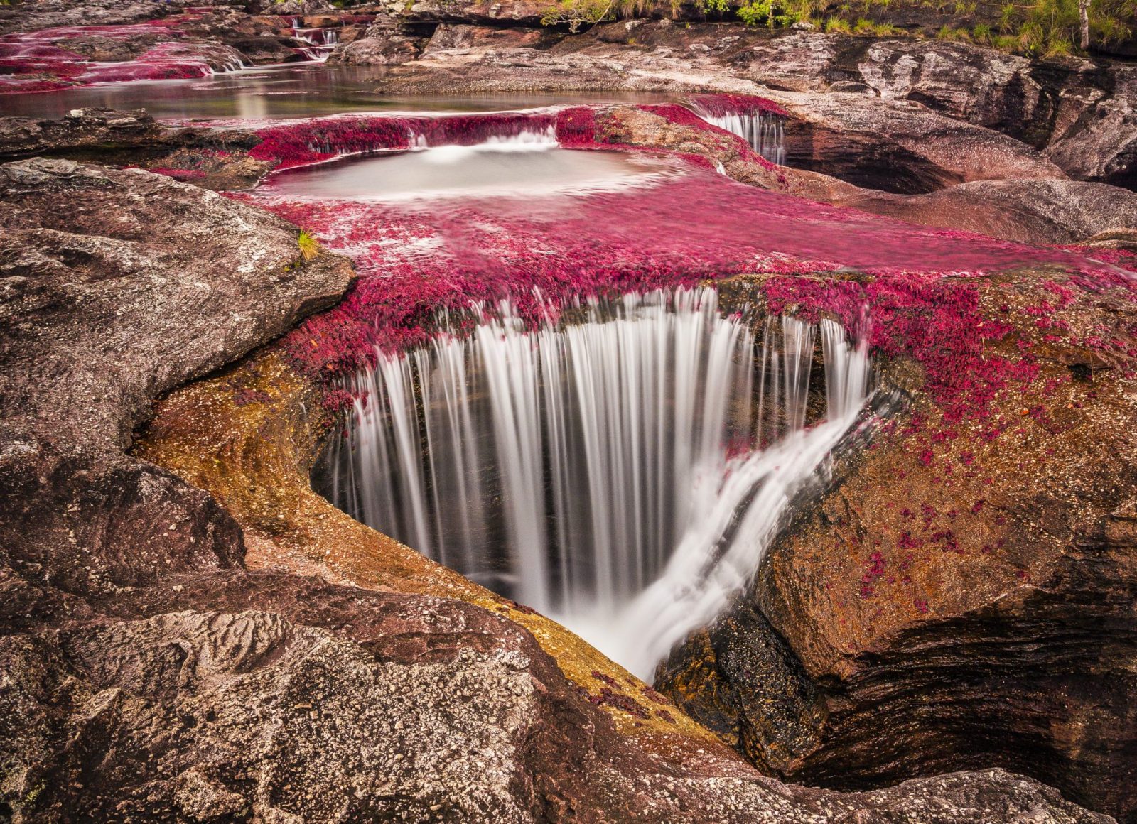 Colombia - at the heart of biodiversity - Vigilife