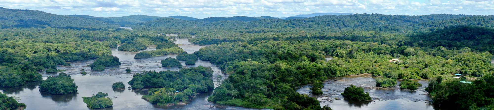 Maroni 2021 - Global inventory of life on 600 km of Amazonian forest ...