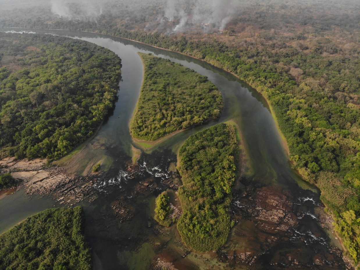 Maroni 2021 - Global inventory of life on 600 km of Amazonian forest ...