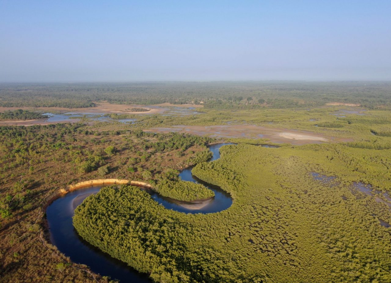 Senegal - the rediscovery of a river - Vigilife