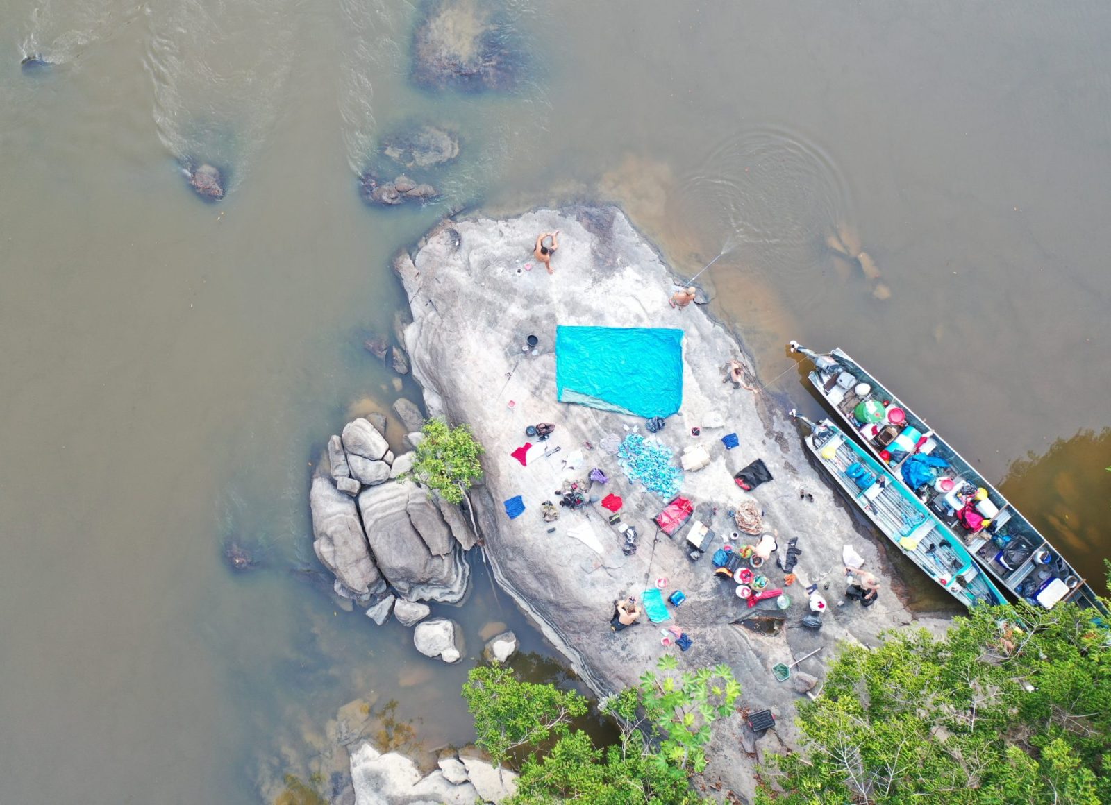 Maroni 2021 - Global inventory of life on 600 km of Amazonian forest ...