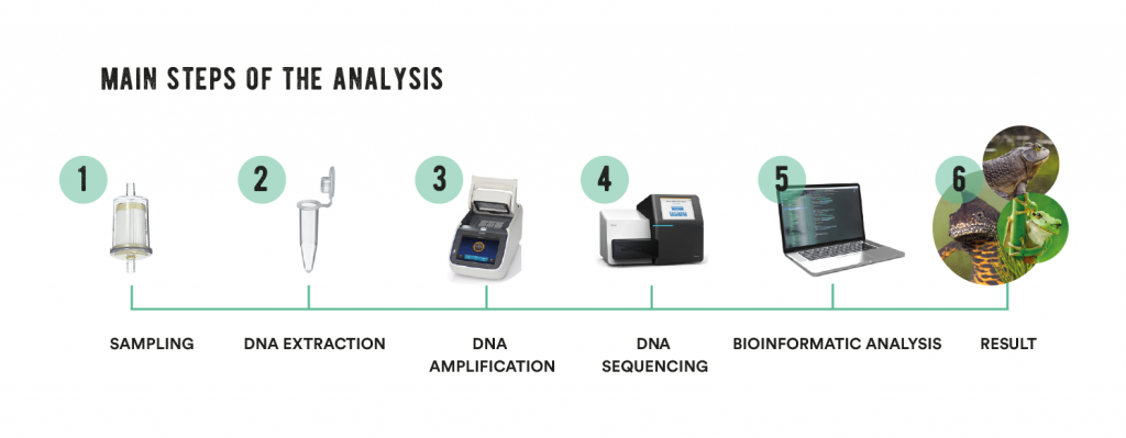 Our innovative technologies based on environmental DNA eDNA - Vigilife