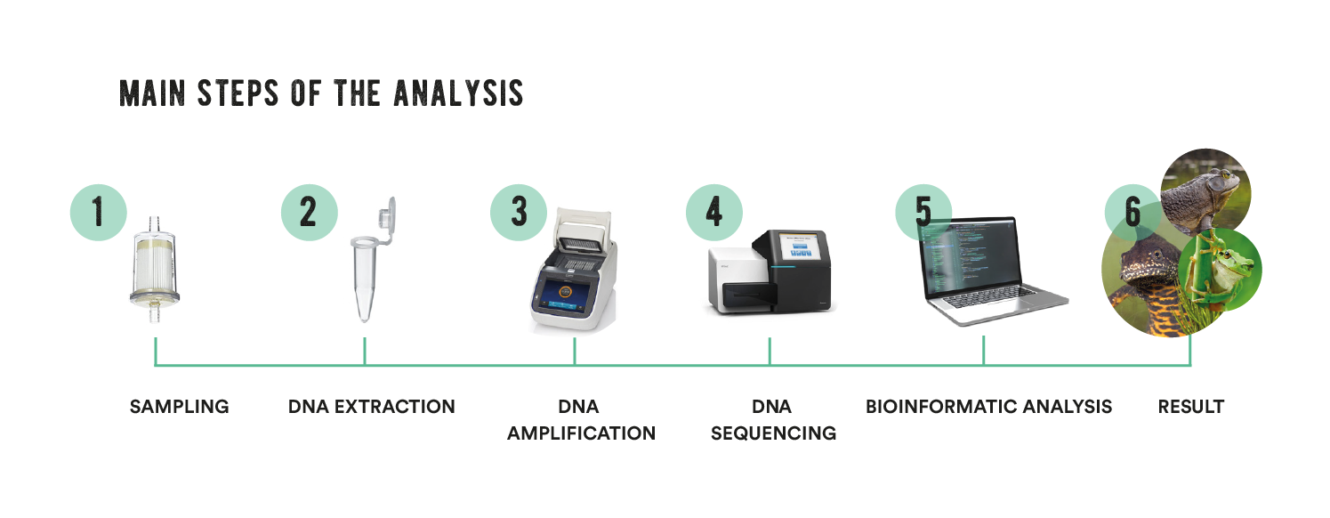 Our innovative technologies based on environmental DNA eDNA - Vigilife